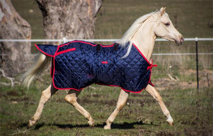 Horses at Home – Horse Rugs – Pony Rugs – Stable Rugs – Doona Rugs ...