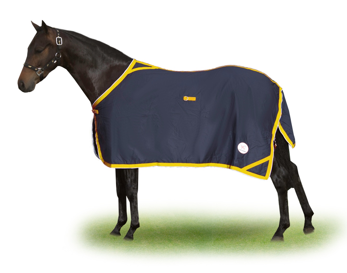 Navy Cotton Drill Rug - Horses at Home
