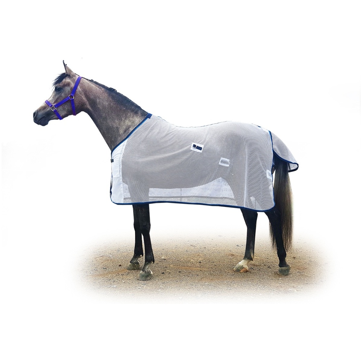 White Summer Mesh Rug - Horses at Home - Best Fitting Horse Rugs