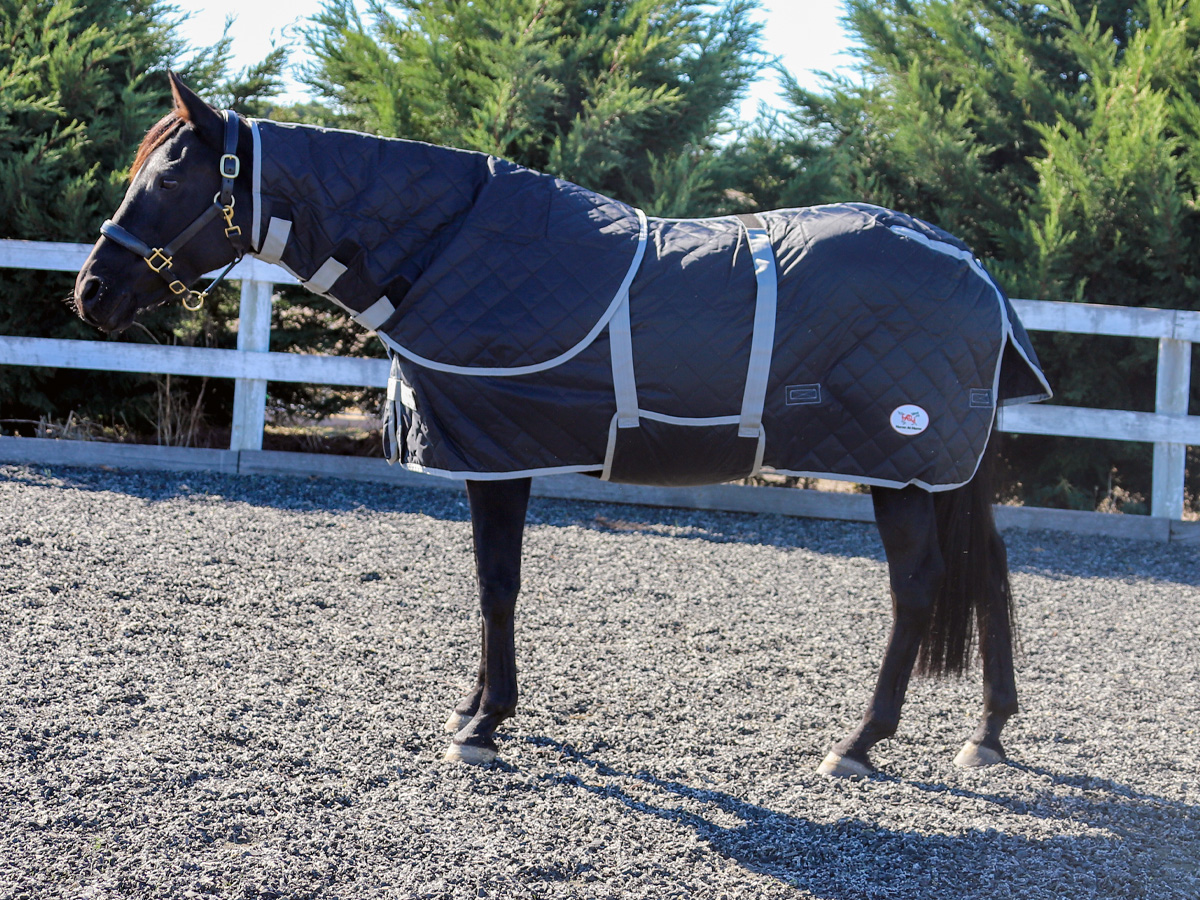 Doona Stable Rugs - Horses at Home - Best Fitting Horse Rugs